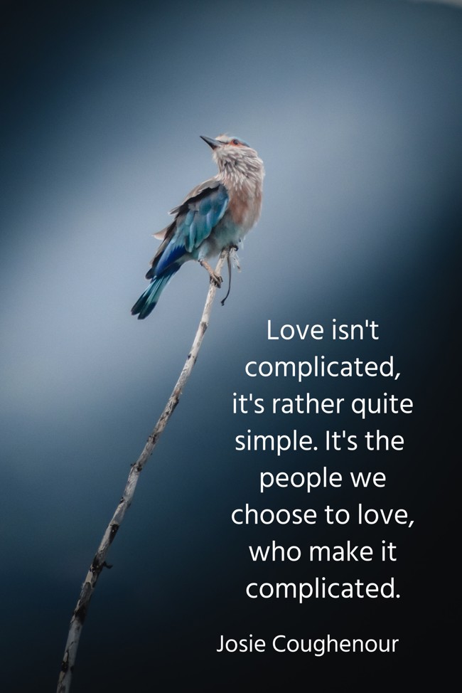 Love isn't complicated, it's rather quite simple. It's the - Quozio