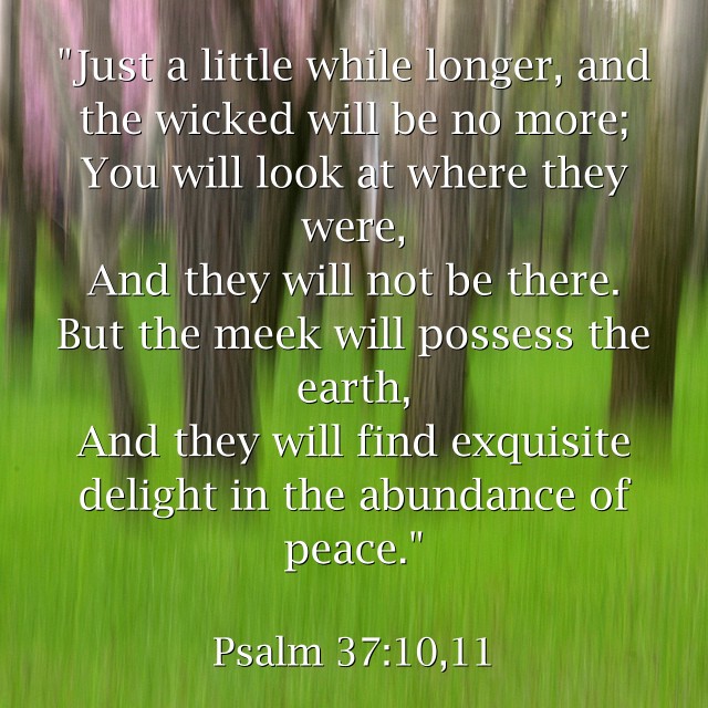 Just A Little While Longer And The Wicked Will Be No Quozio just-a-little-while-longer-and-the-wicked-will-be-no-quozio