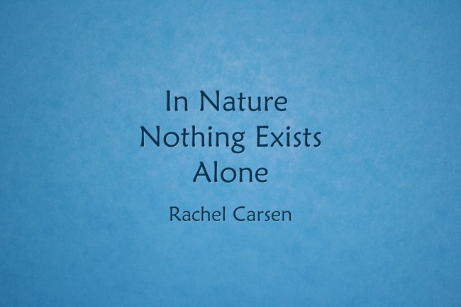 In Nature Nothing Exists Alone - Quozio