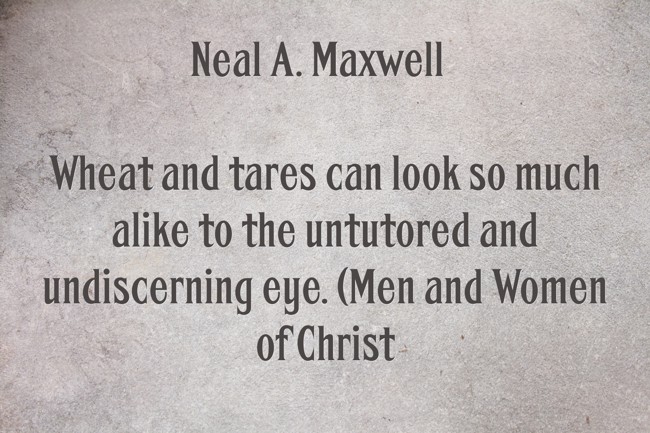 Neal A. Maxwell Wheat and tares can look so much alike to - Quozio