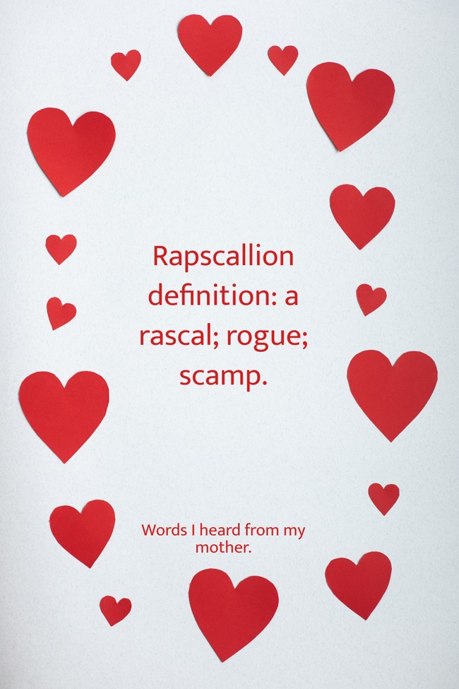 Rapscallion definition: a rascal; rogue; scamp. - Quozio