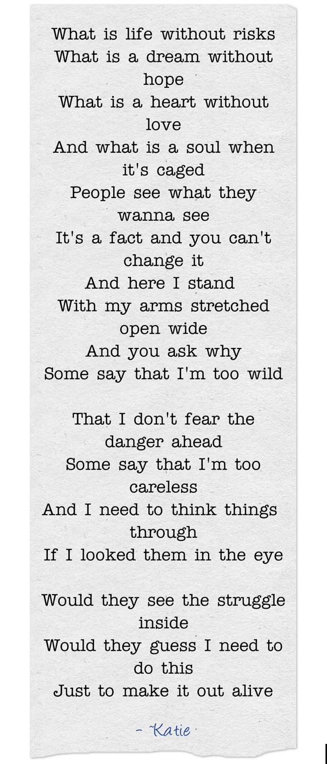 What is life without risks What is a dream without hope - Quozio