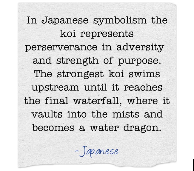 In Japanese symbolism the koi represents perserverance in - Quozio