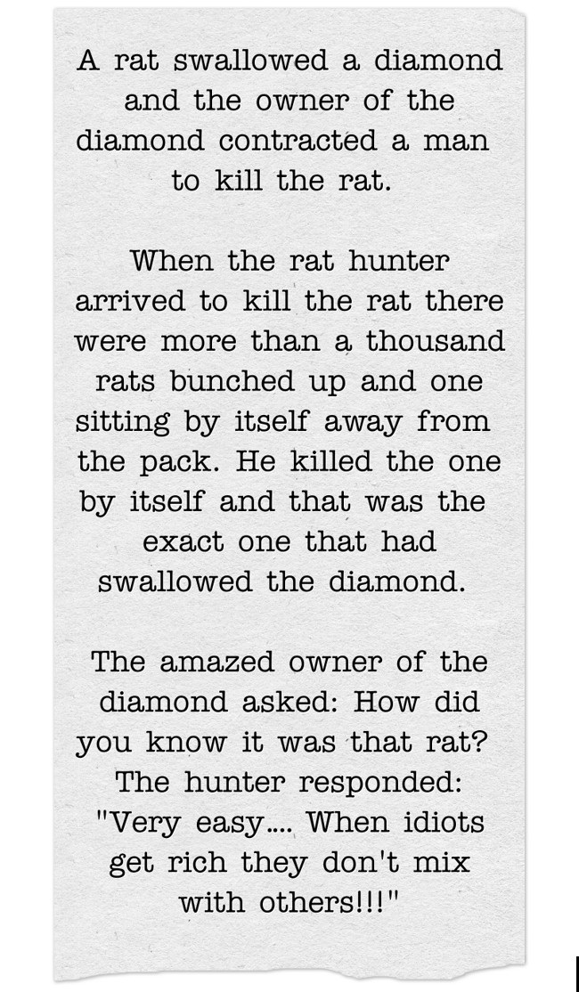 A rat swallowed a diamond and the owner of the diamond - Quozio