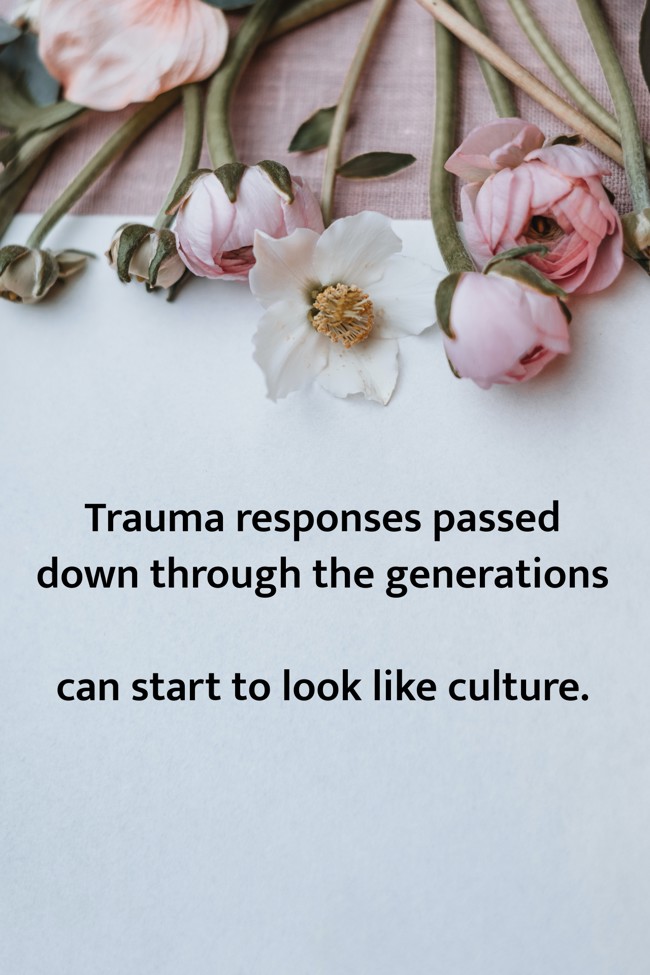 Trauma responses passed down through the generations can - Quozio