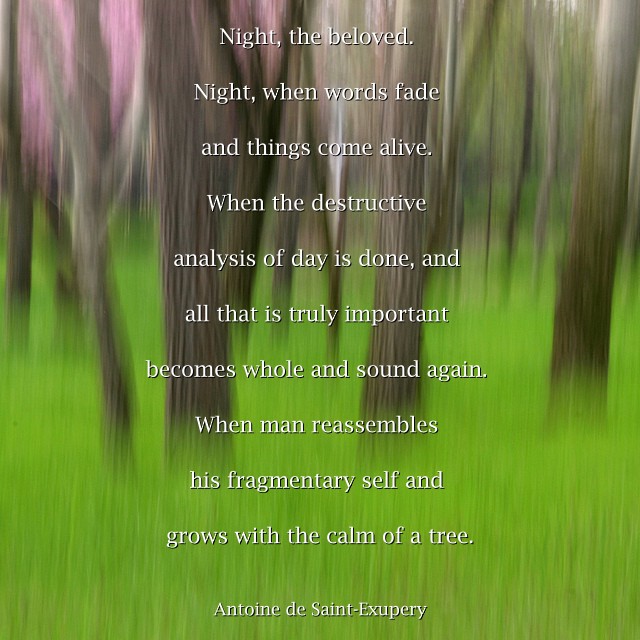 Night, the beloved. Night, when words fade and things come - Quozio