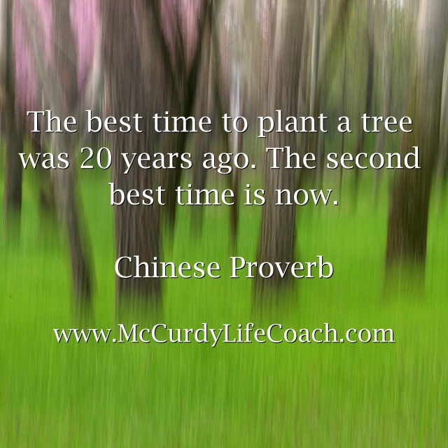 The best time to plant a tree was 20 years ago. The second - Quozio
