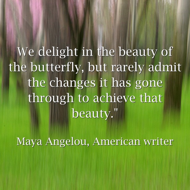 We delight in the beauty of the butterfly, but rarely admit - Quozio