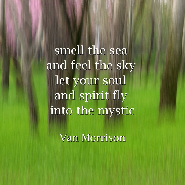 smell the sea and feel the sky let your soul and spirit fly - Quozio
