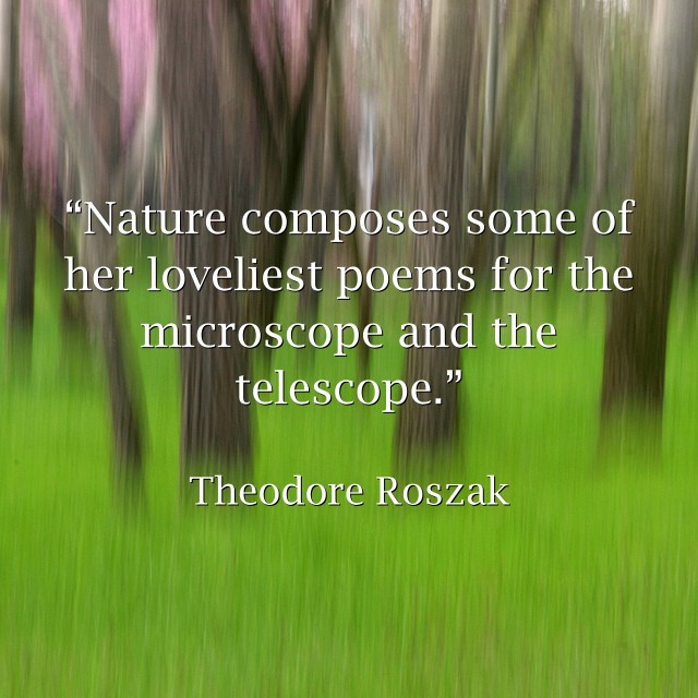 “Nature composes some of her loveliest poems for the - Quozio