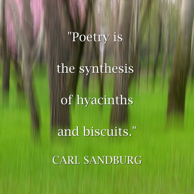 "Poetry is the synthesis of hyacinths and biscuits." - Quozio