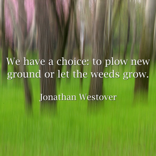 We have a choice: to plow new ground or let the weeds grow. - Quozio