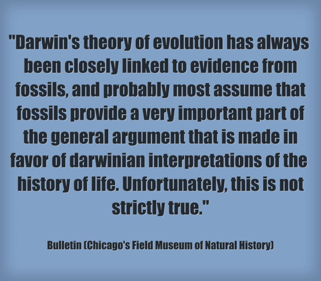 "Darwin's theory of evolution has always been closely - Quozio