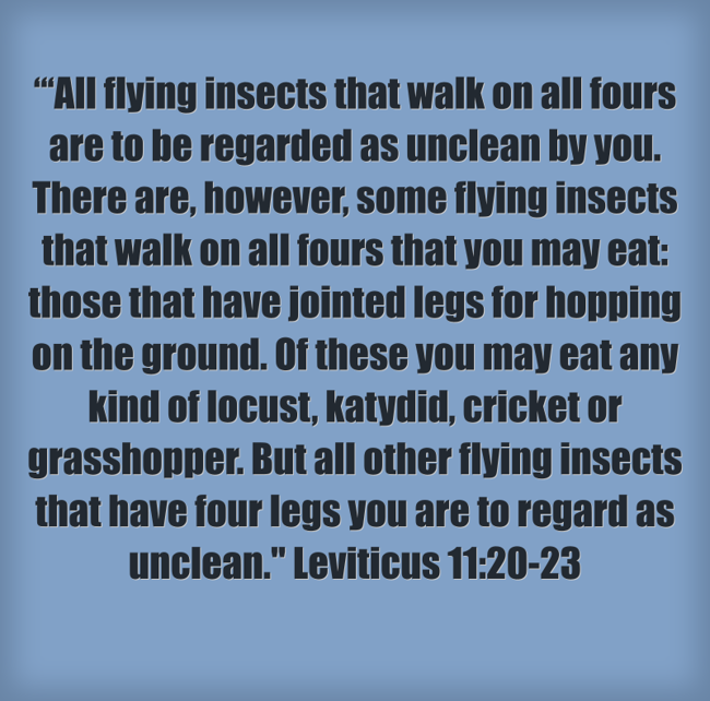 All flying insects that walk on all fours are to be - Quozio