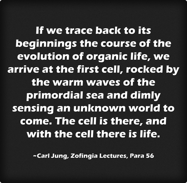 If we trace back to its beginnings the course of the - Quozio