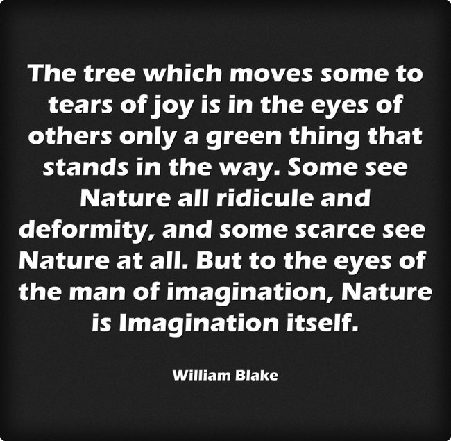 The tree which moves some to tears of joy is in the eyes of - Quozio