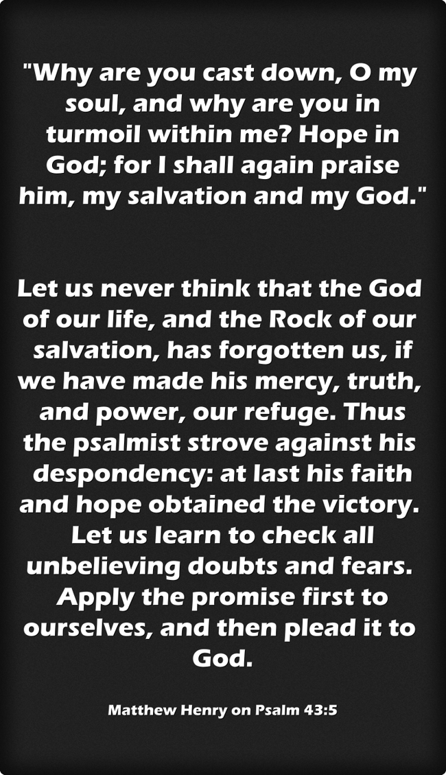"Why are you cast down, O my soul, and why are you in - Quozio