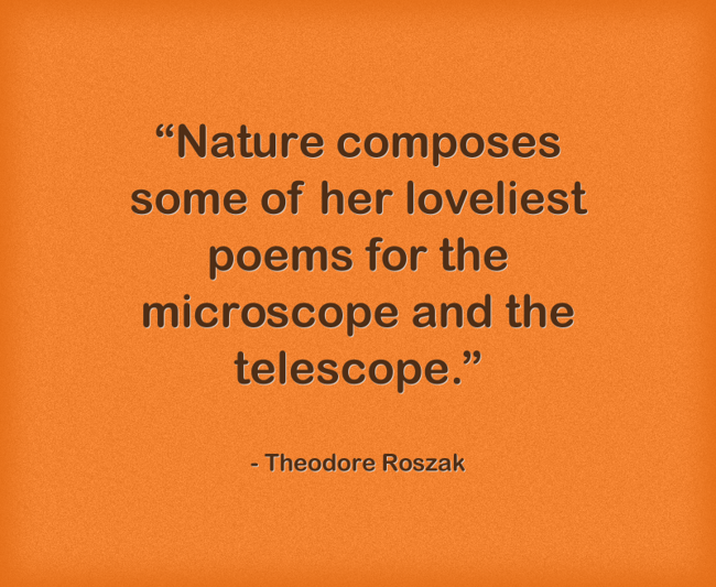 “Nature composes some of her loveliest poems for the - Quozio