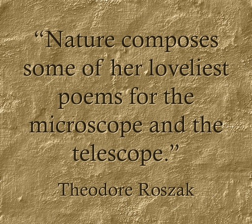 “Nature composes some of her loveliest poems for the - Quozio