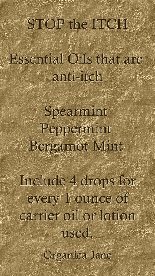 STOP the ITCH Essential Oils that are anti-itch Spearmint - Quozio