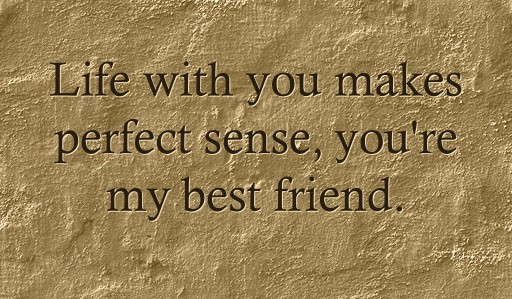 Life with you makes perfect sense, you're my best friend. - Quozio