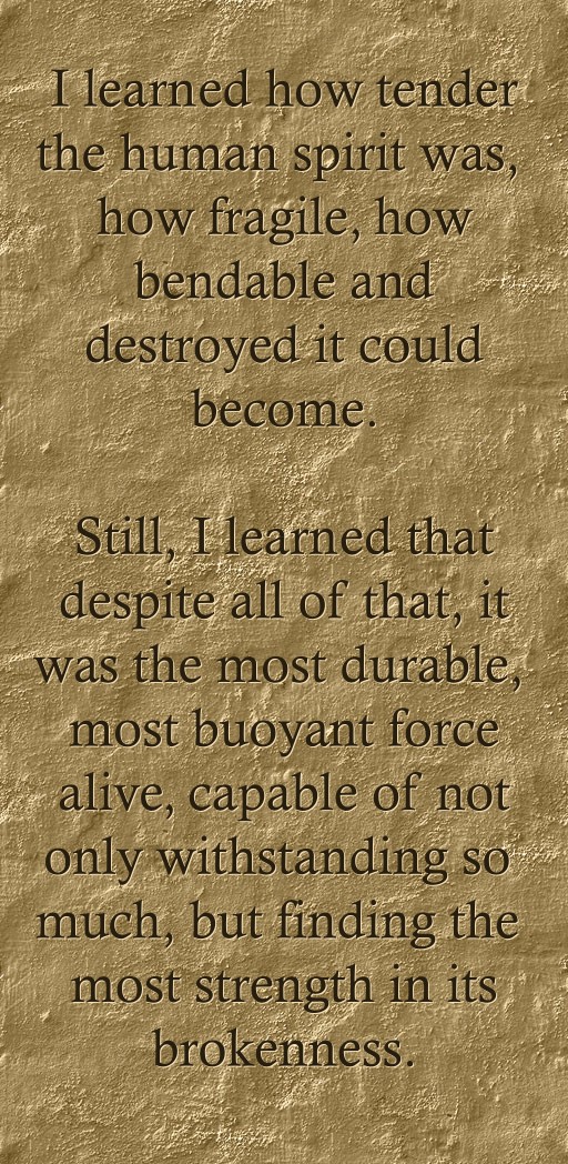 I learned how tender the human spirit was, how fragile, how - Quozio