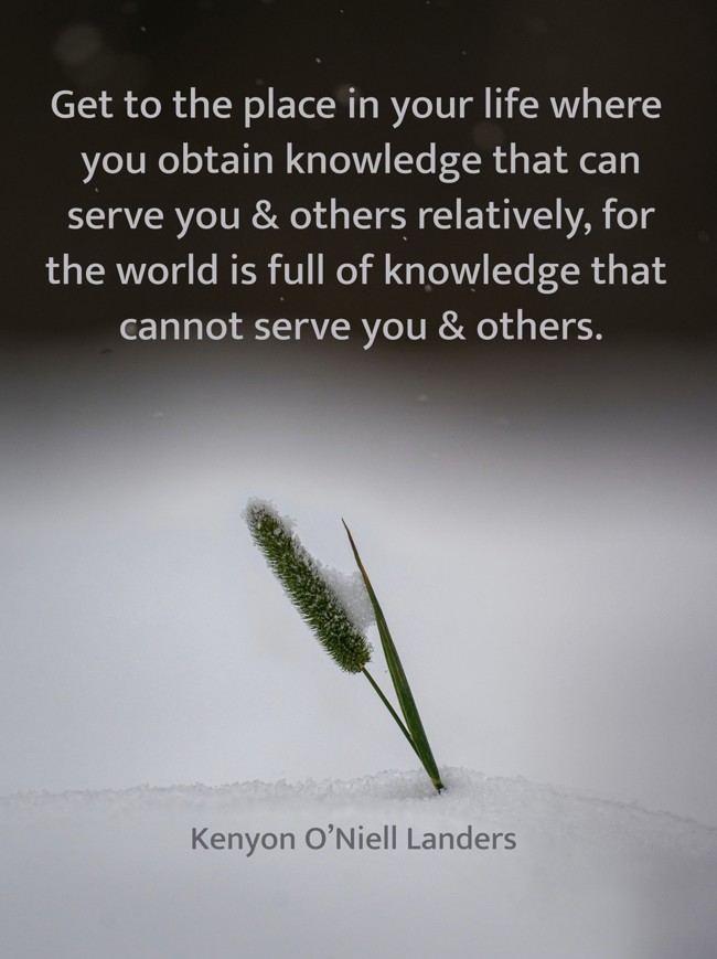 Get to the place in your life where you obtain knowledge - Quozio