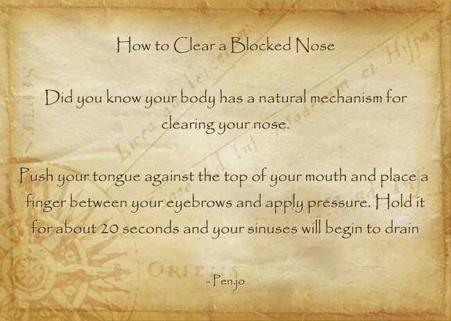 How to Clear a Blocked Nose Did you know your body has a - Quozio