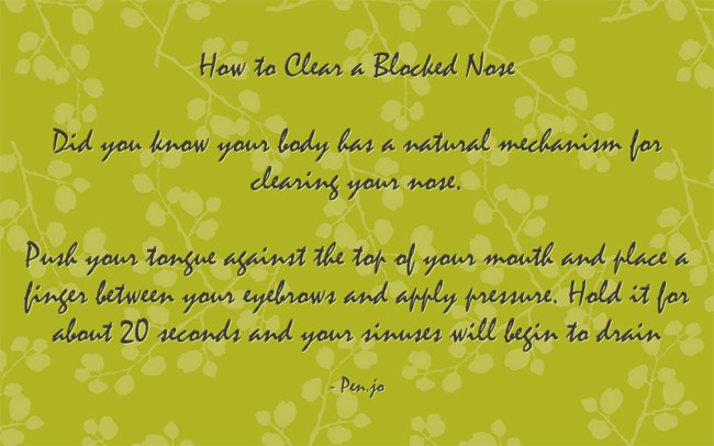 How to Clear a Blocked Nose Did you know your body has a - Quozio