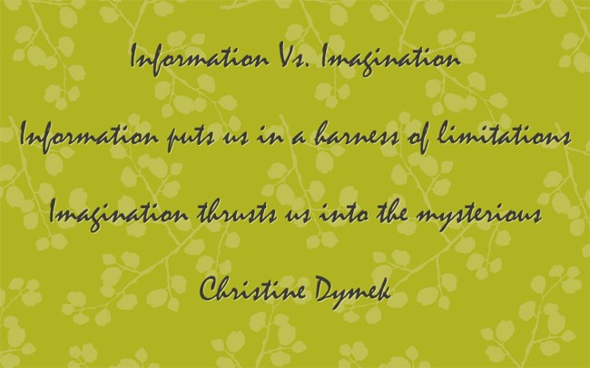 Information Vs. Imagination Information puts us in a - Quozio
