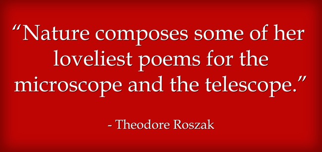 “Nature composes some of her loveliest poems for the - Quozio