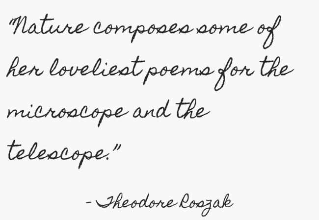 “Nature composes some of her loveliest poems for the - Quozio