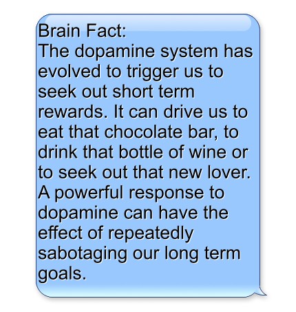 Brain Fact: The dopamine system has evolved to trigger us - Quozio