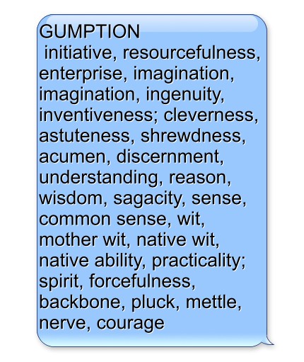 GUMPTION initiative, resourcefulness, enterprise, - Quozio