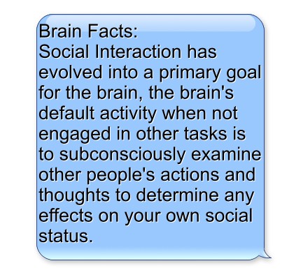 Brain Facts: Social Interaction has evolved into a primary - Quozio