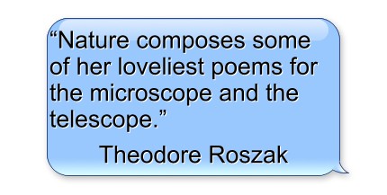 “Nature composes some of her loveliest poems for the - Quozio