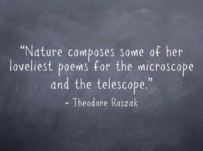 “Nature composes some of her loveliest poems for the - Quozio