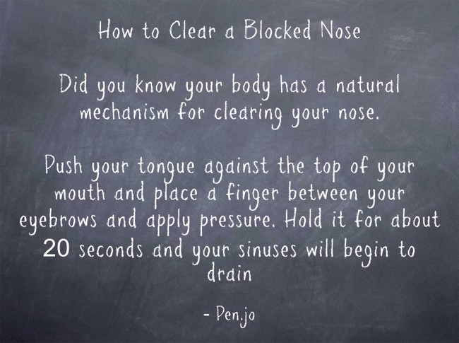 How to Clear a Blocked Nose Did you know your body has a - Quozio