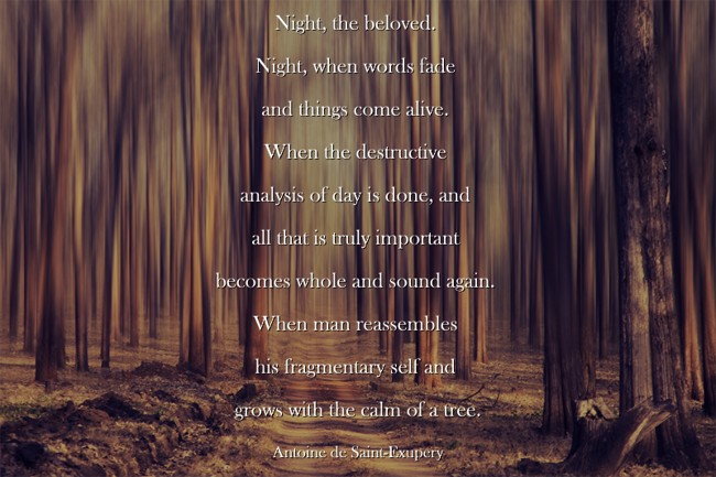 Night, the beloved. Night, when words fade and things come - Quozio