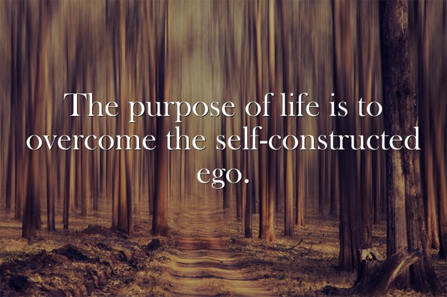 The purpose of life is to overcome the self-constructed ego. - Quozio