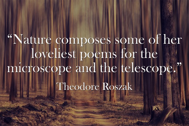 “Nature composes some of her loveliest poems for the - Quozio