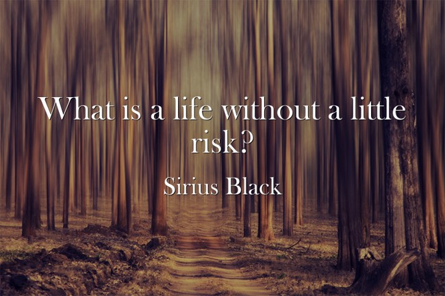 What is a life without a little risk? - Quozio