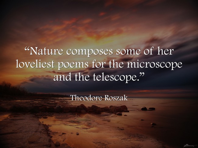 “Nature composes some of her loveliest poems for the - Quozio