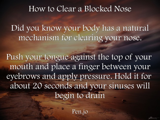 How to Clear a Blocked Nose Did you know your body has a - Quozio