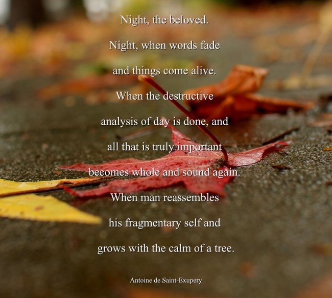 Night, the beloved. Night, when words fade and things come - Quozio