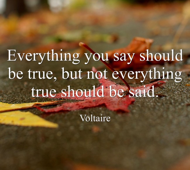 Everything you say should be true, but not everything true - Quozio
