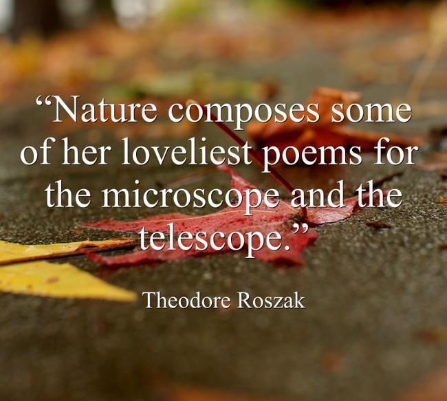 “Nature composes some of her loveliest poems for the - Quozio
