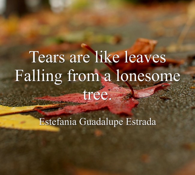 Tears are like leaves Falling from a lonesome tree. - Quozio