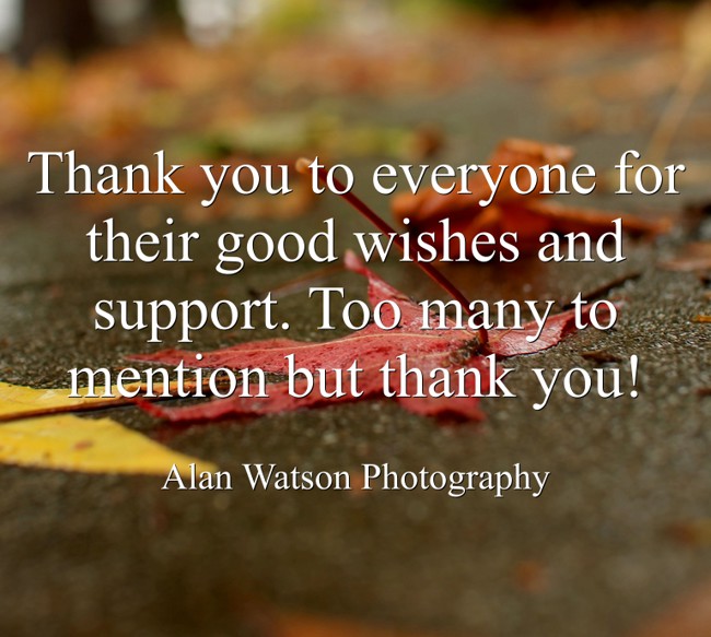 Thank you to everyone for their good wishes and support. - Quozio
