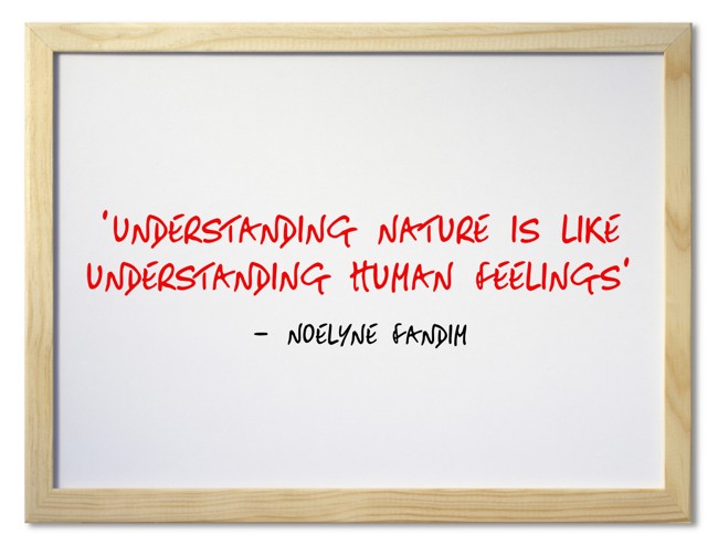 'Understanding nature is like understanding human feelings' - Quozio